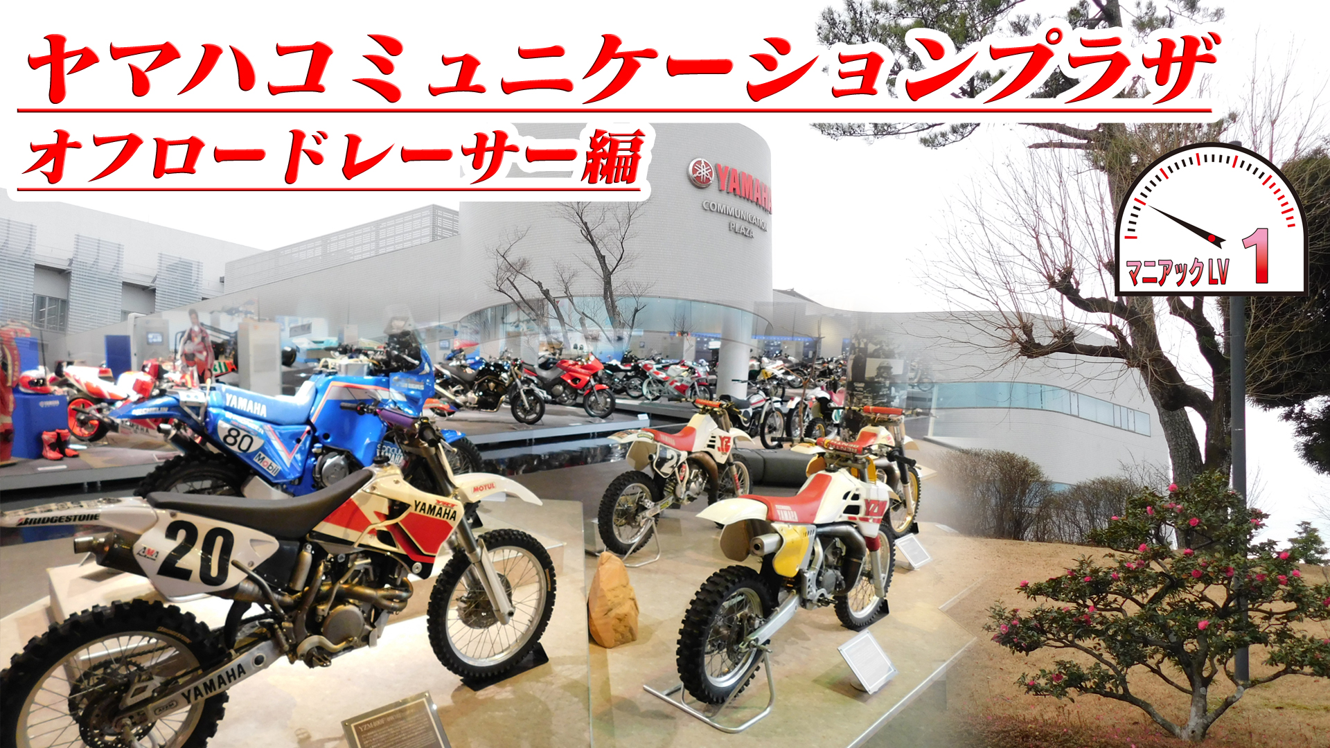 Dream Runner Channel サイトです | YouTube の Dream Runner Channel 公式連動 サイトです